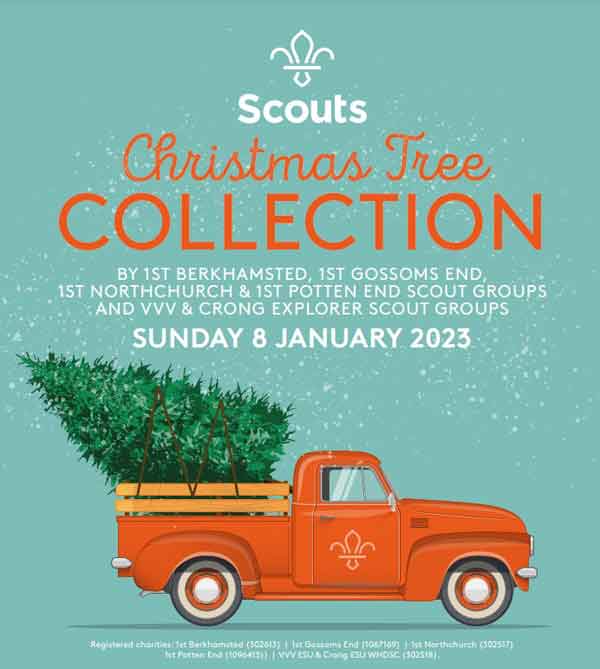 Scouts Christmas tree collection
